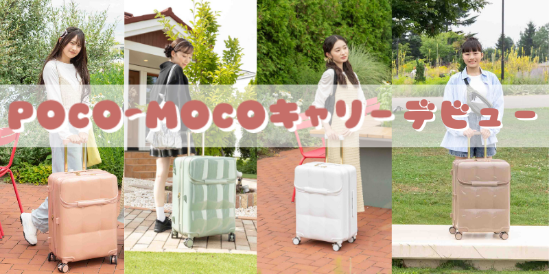 Poco-Moco（ポコモコ） | イオン北海道 eショップ