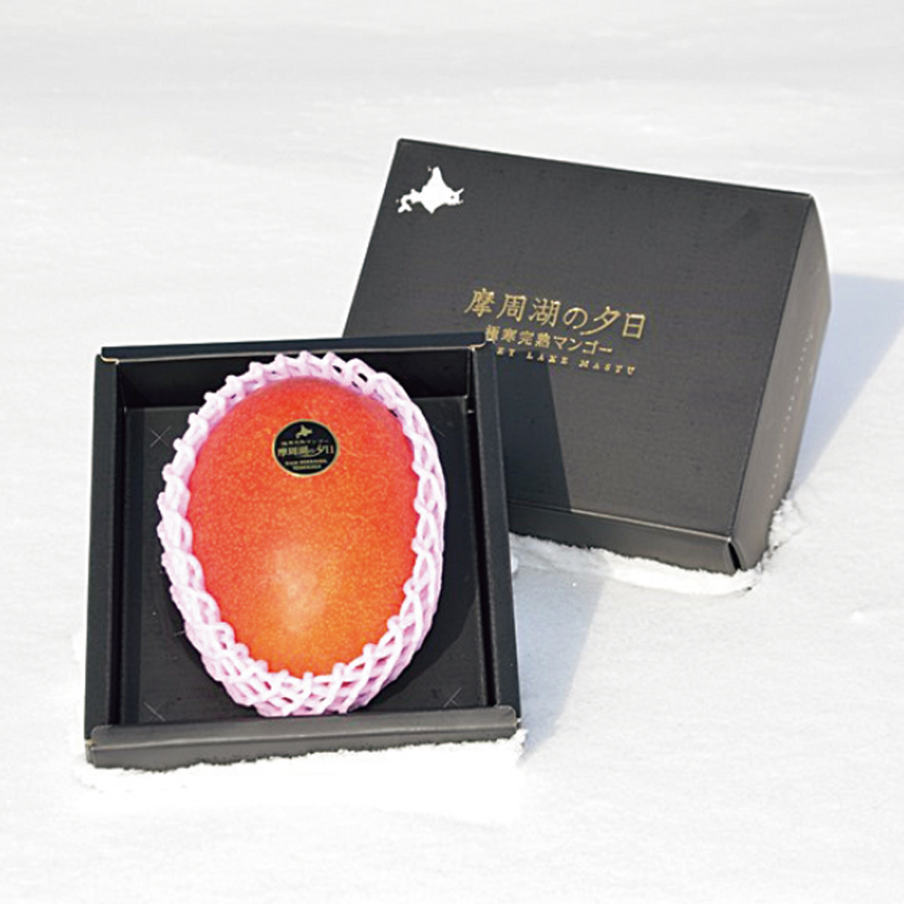摩周湖の夕日 極寒完熟マンゴー 3Lサイズ、1玉（450g） | イオン北海道 eショップ