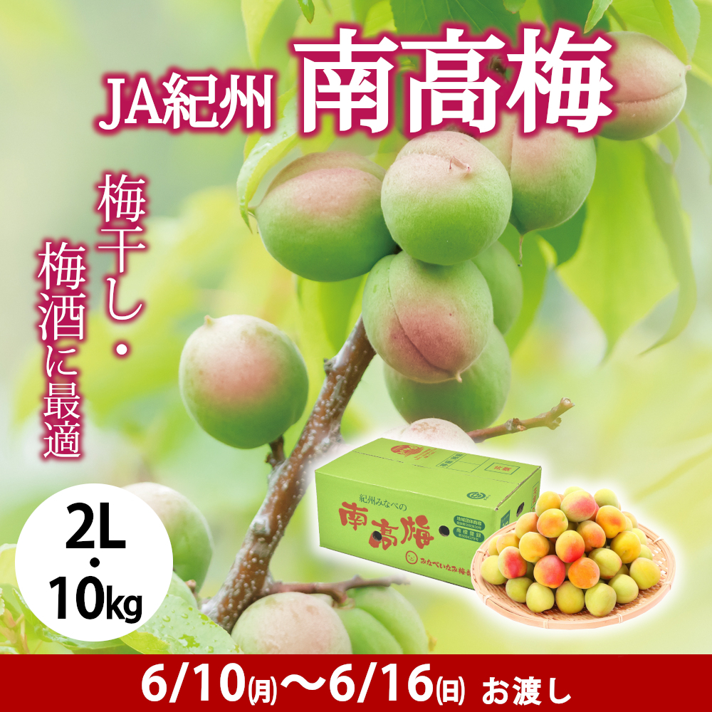 その他の果物 | イオン北海道 eショップ